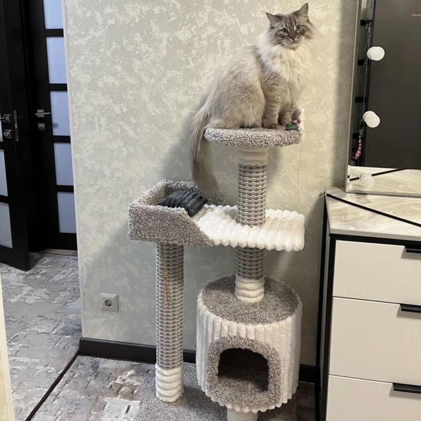 Когтеточка