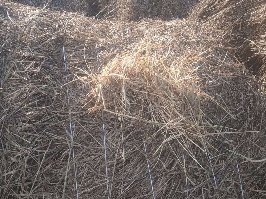 Продам сено в рулонах 2023 года
