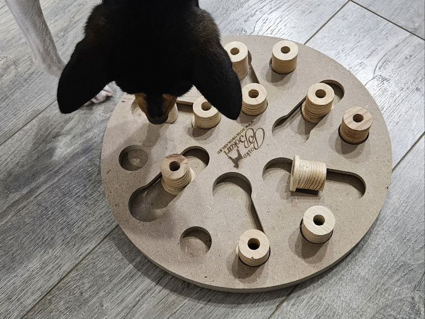 Развивающая игрушка для собак