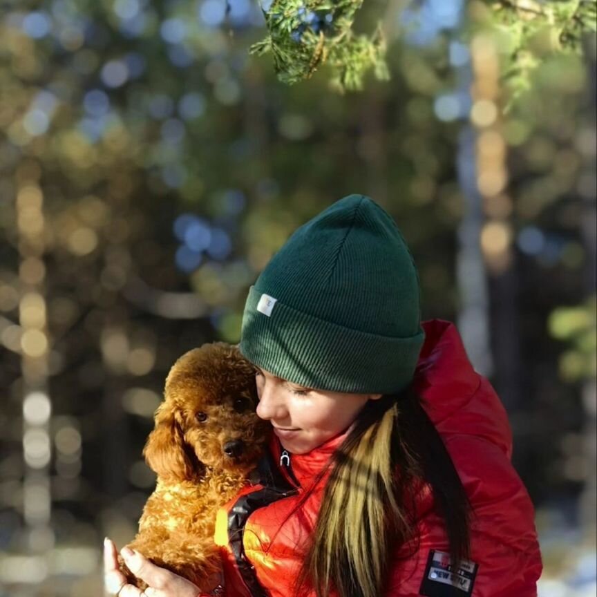 Миниатюрный пудель