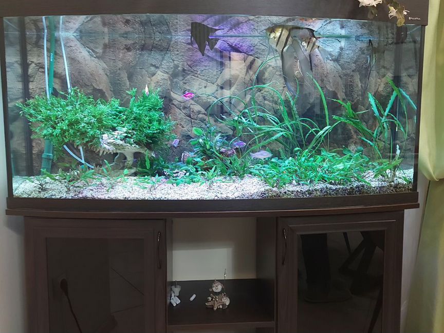 Аквариум 270 литров с тумбой и оборудованием