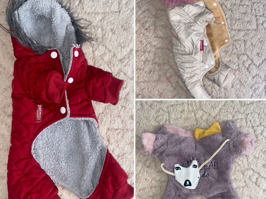 Теплая одежда для собак мелких пород