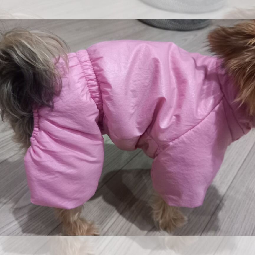 Одежда для собак мелких пород девочка