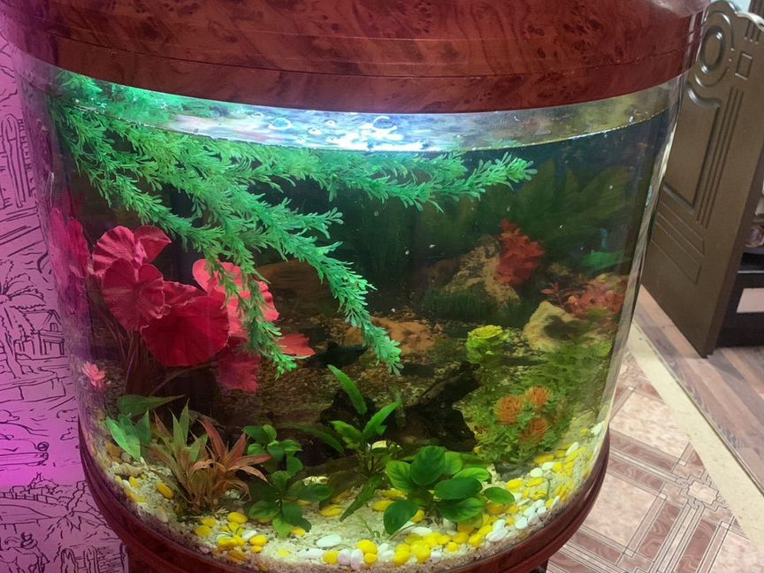 Аквариум с тумбой jebo r 760