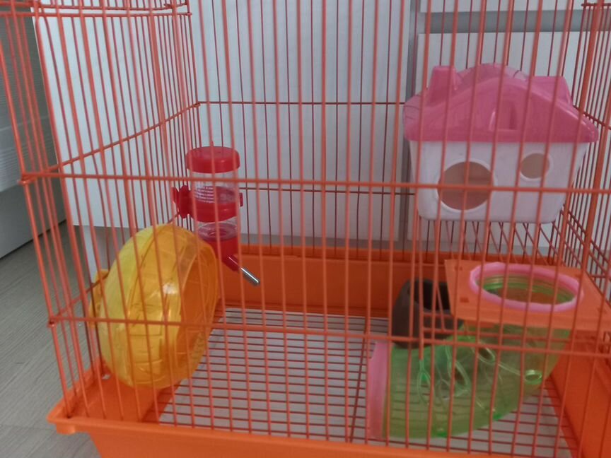 Клетка для хомяка бу