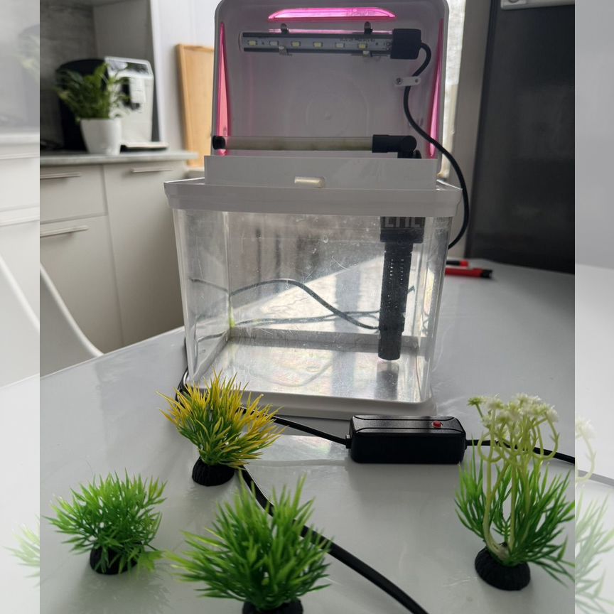 Аквариум 3 литра и декор