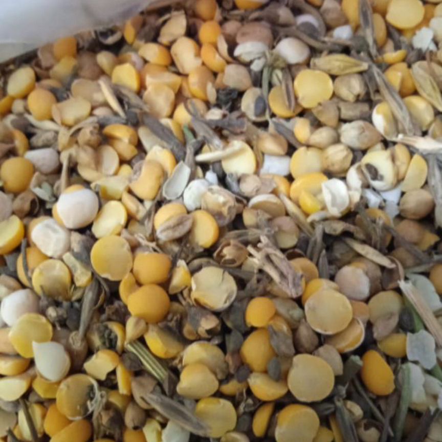 Отходы гороха