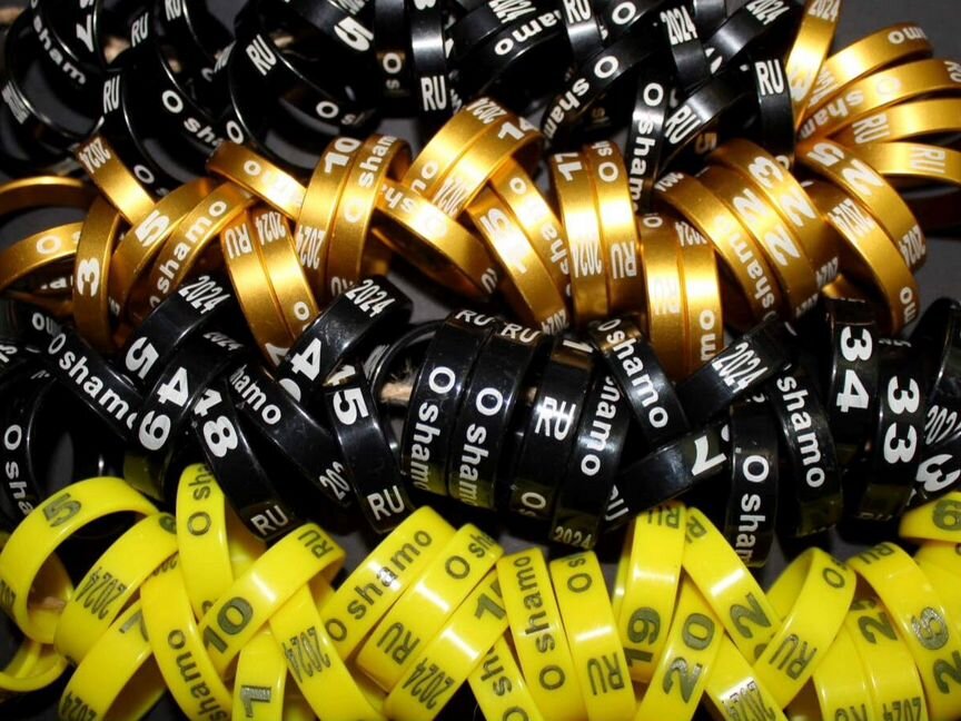 Для бойцовых петухов именные кольца