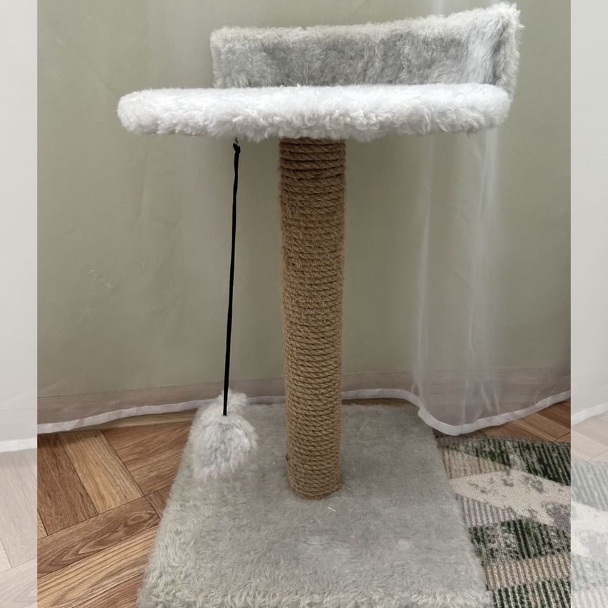 Когтеточка