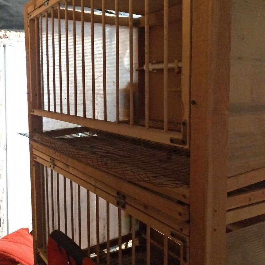 Клетка для куриц. Фото реальные