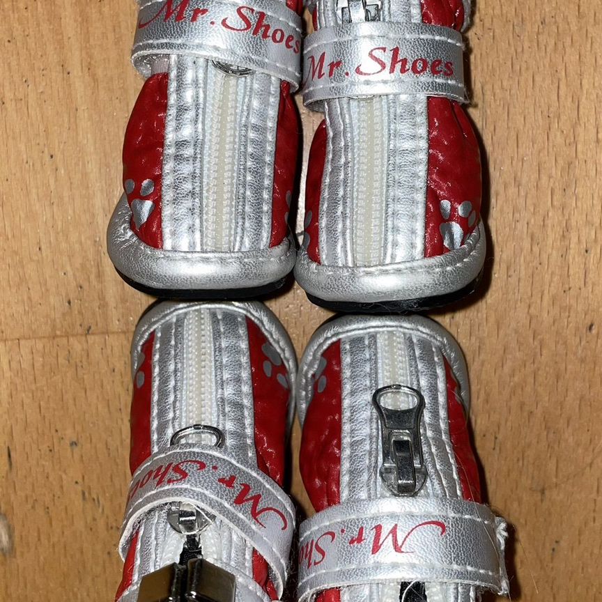 Обувь для маленьких собак