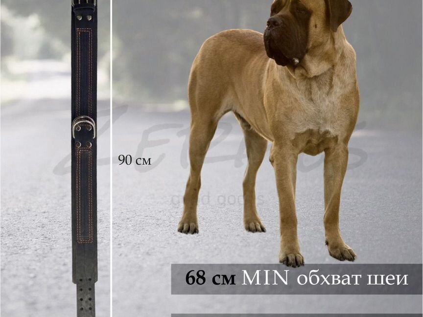Ошейник для крупной собаки