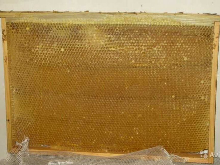 Рамки с вощиной