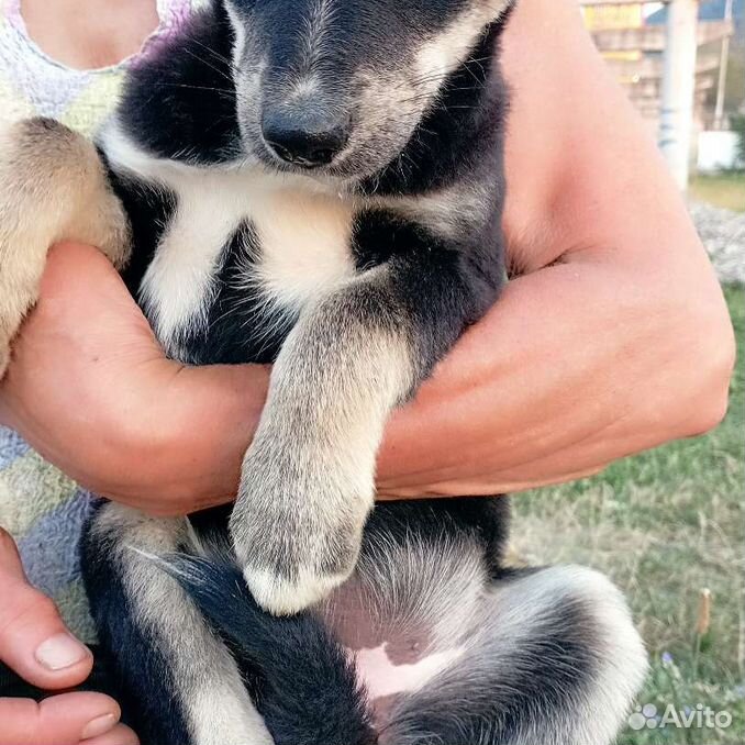 Мамочка, я жду тебя