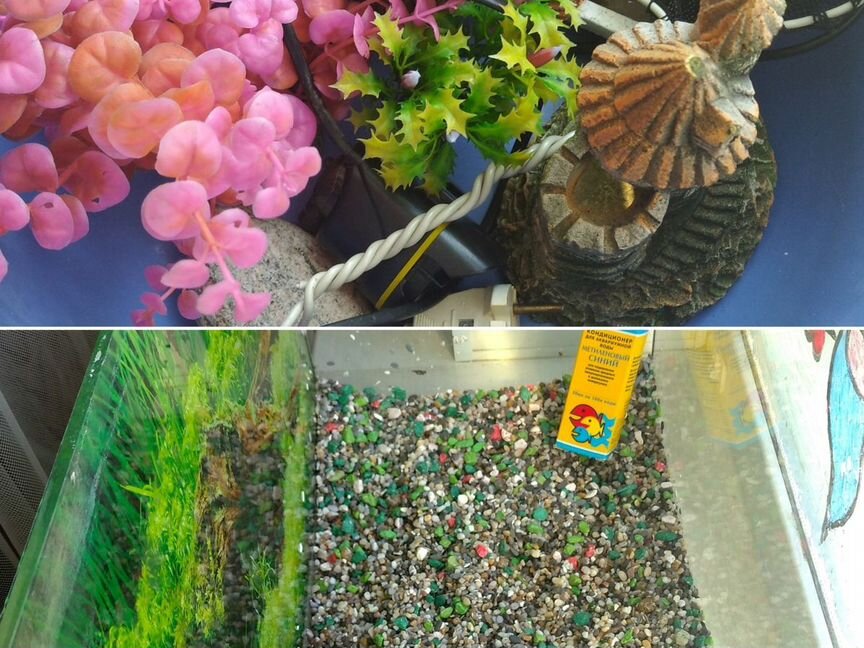 Аксессуары для аквариума