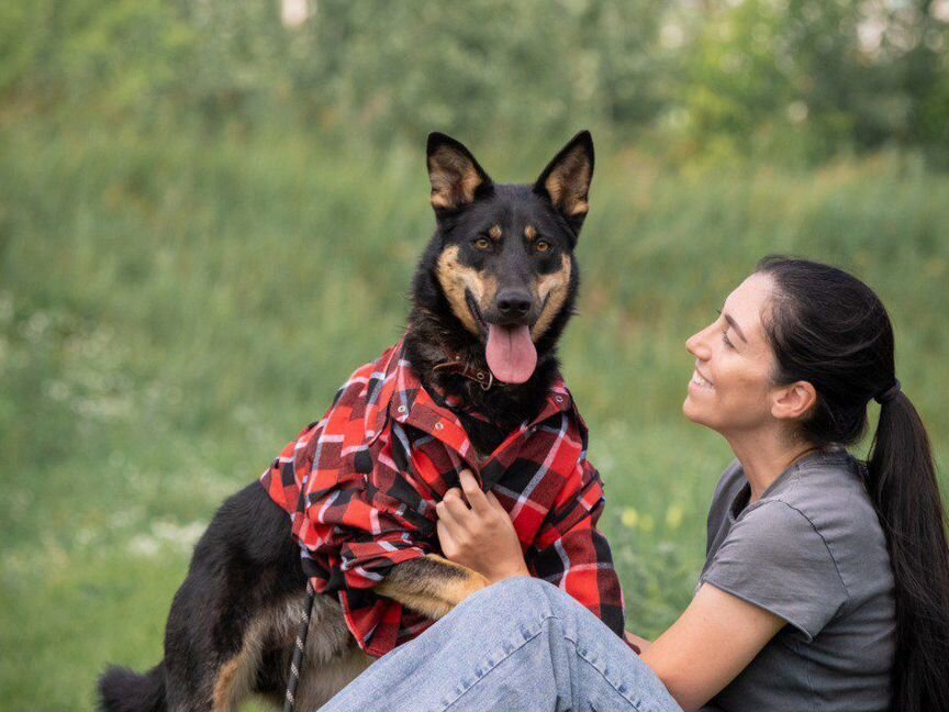 Статный красавчик Ричард из приюта