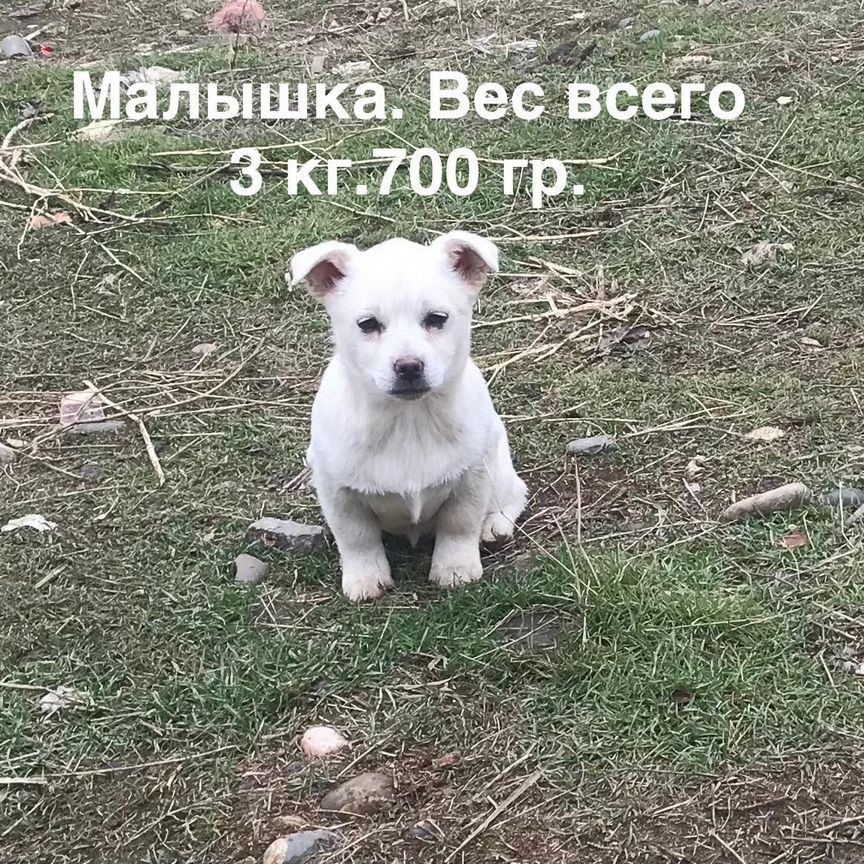 Малышка ищет семью