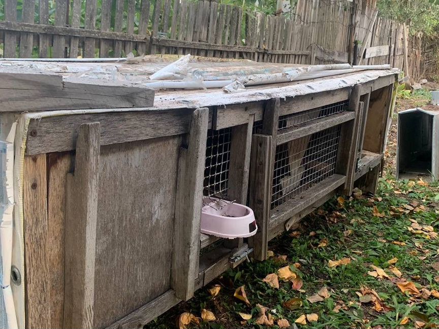 Крольчатник