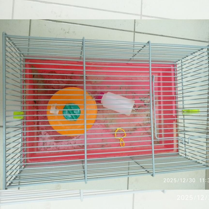 Клетка для животных