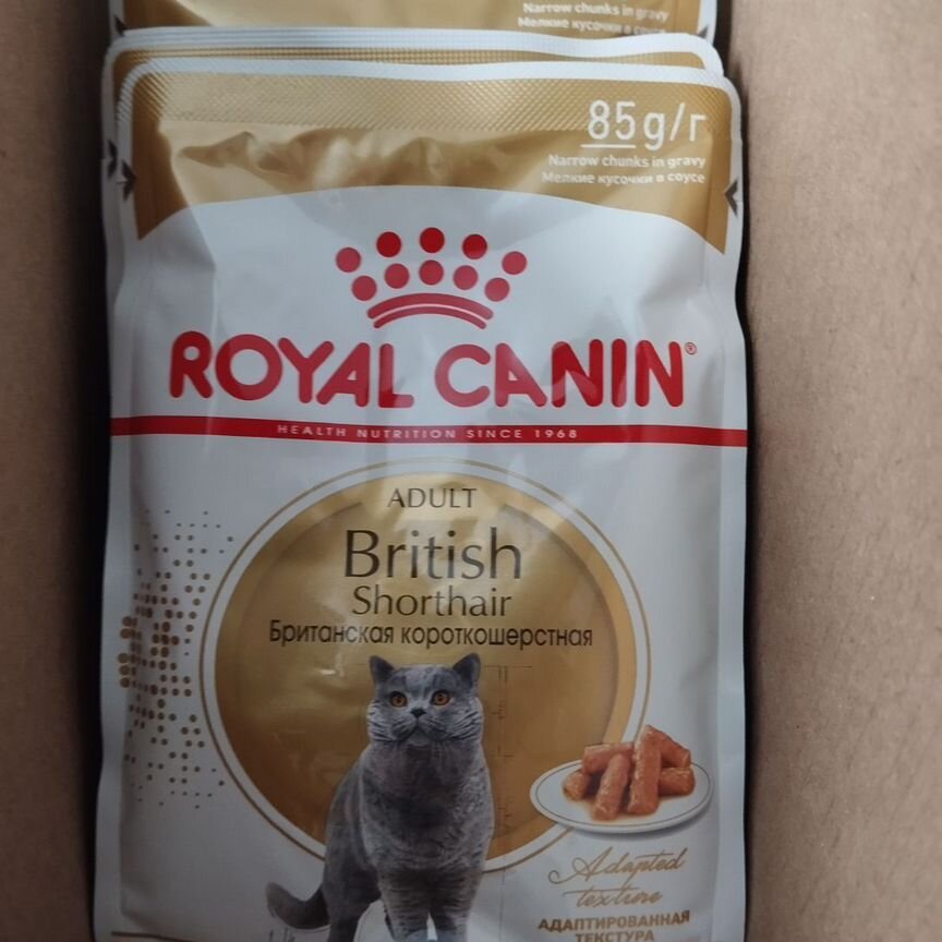 Корм для британских кошек royal canin влажный 22шт