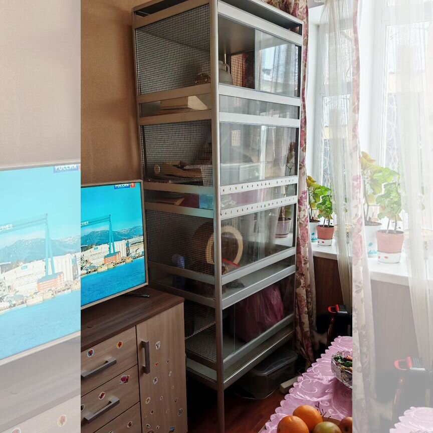 Витрина для грызунов бу калуга