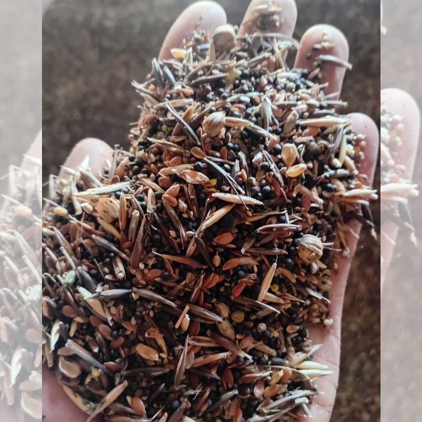 Зерносмесь для животных