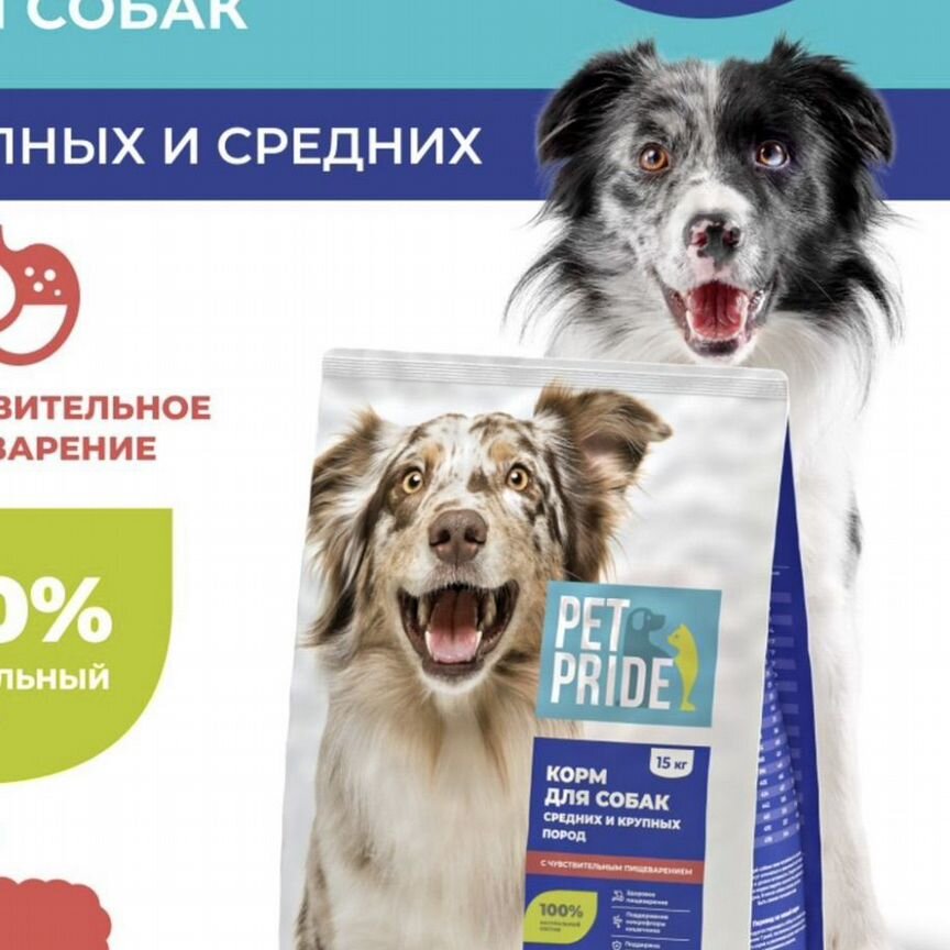 Сухой корм для собак
