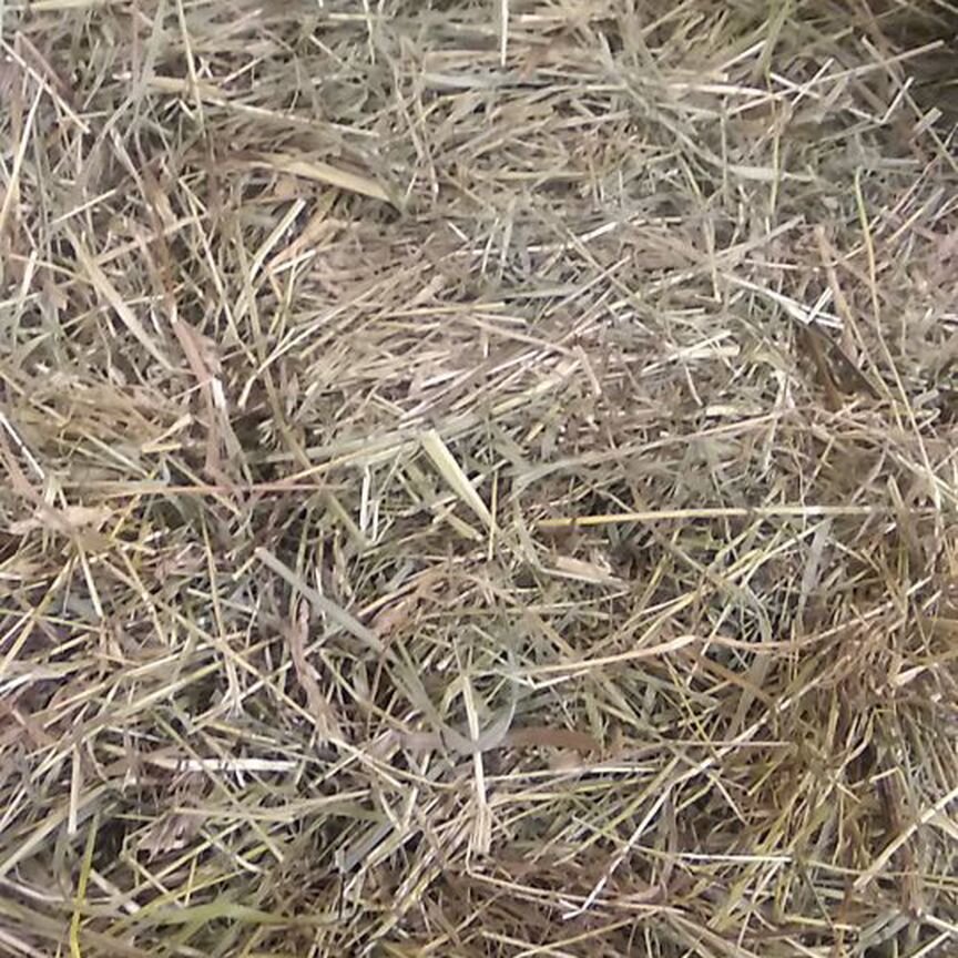 Сено в кипах