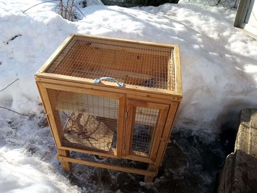 Клетка