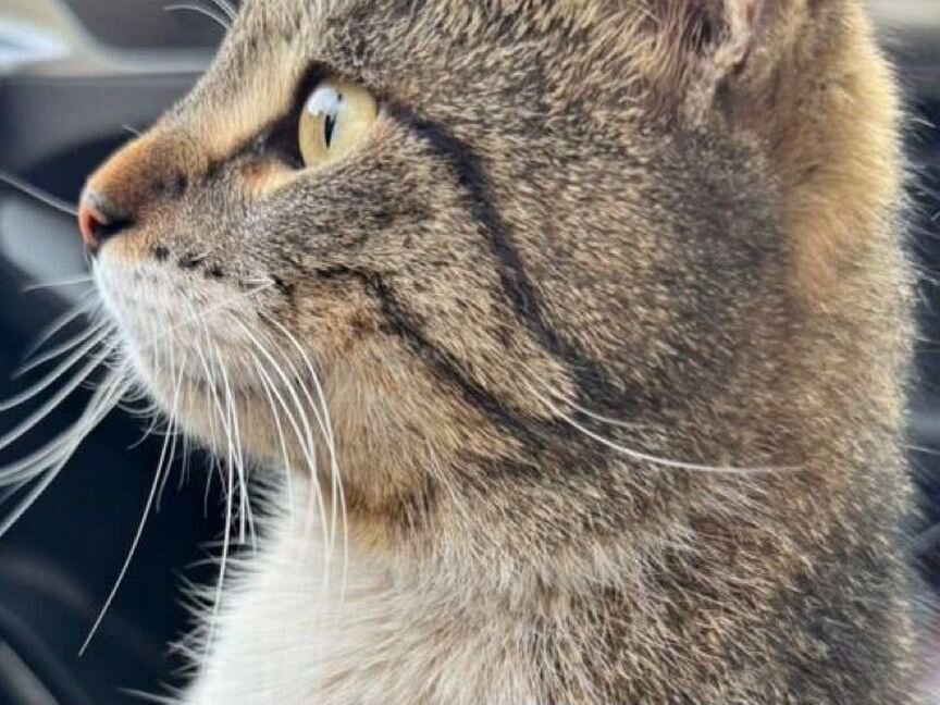 Малыш плакал его выбросили на улицу