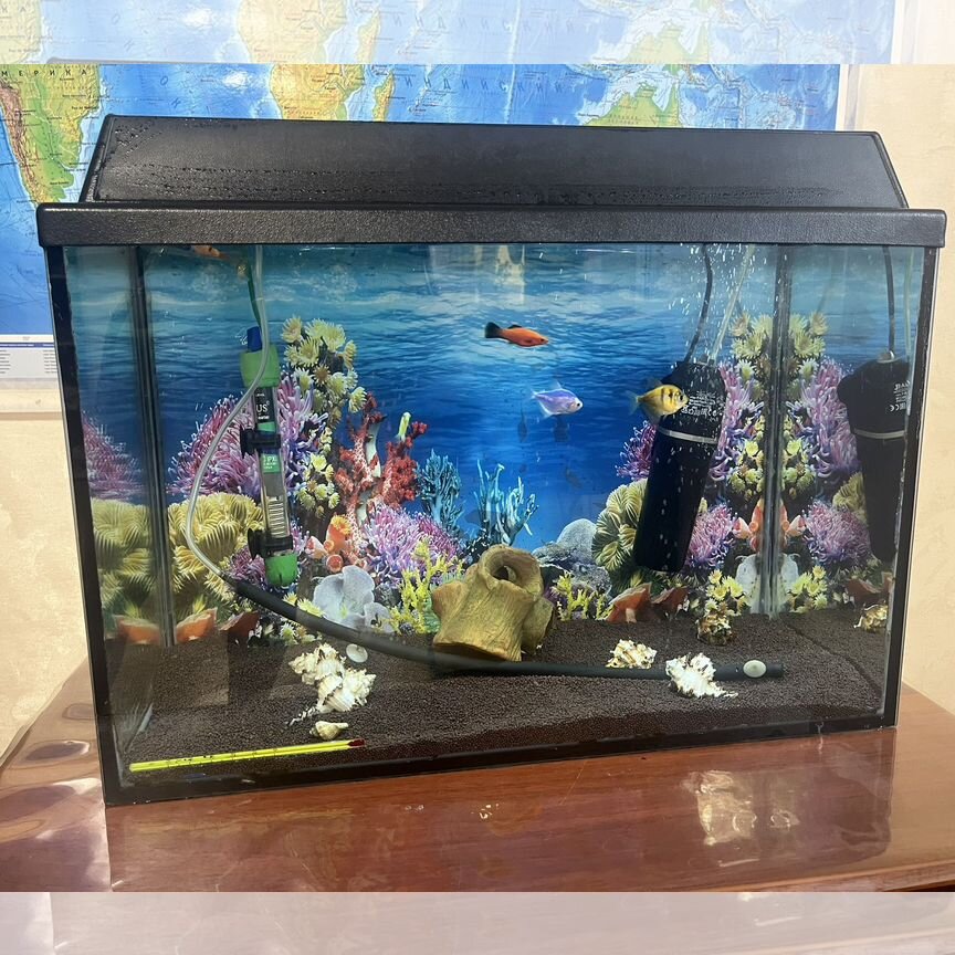 Аквариум бу с рыбками