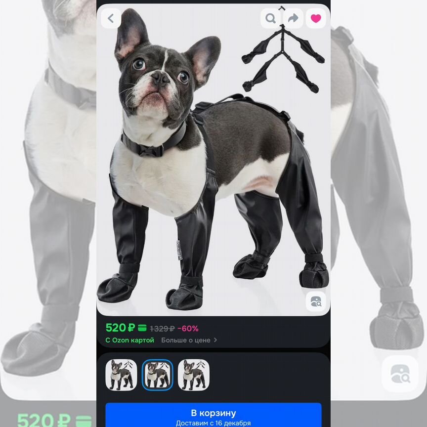 Обувь для собак с подтяжками