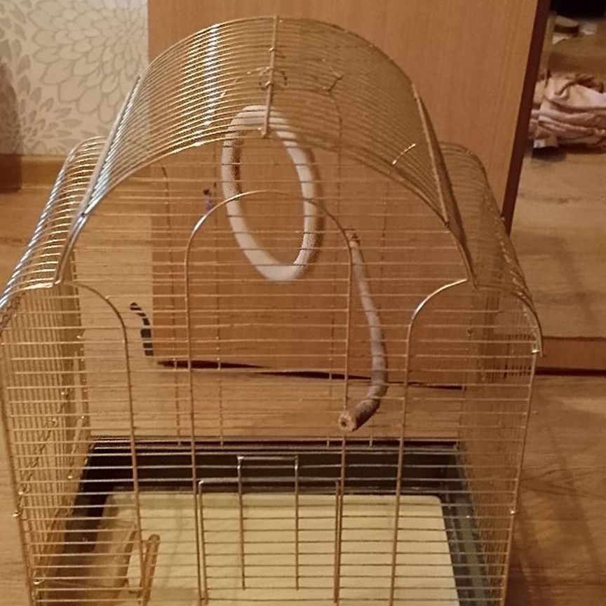 Клетка для попугая