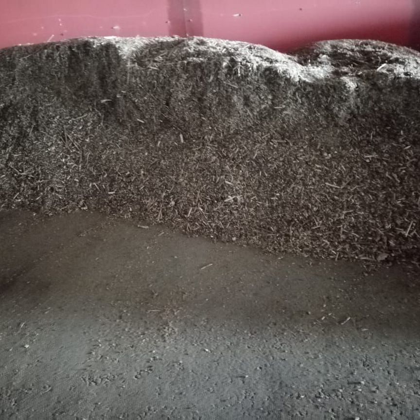 Корма для животных