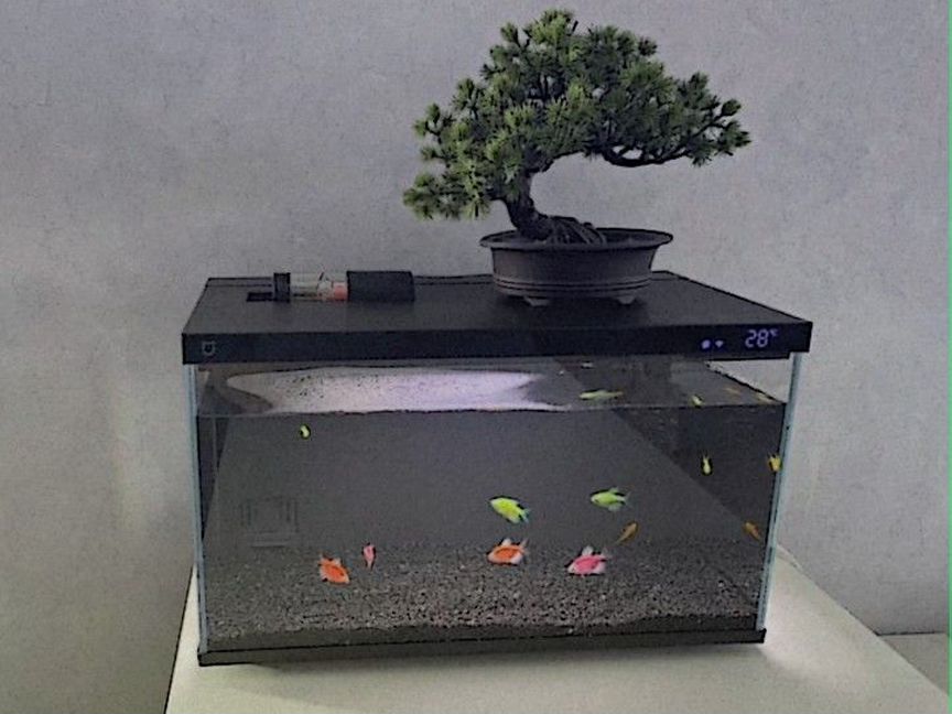 Умный аквариум от Xiaomi