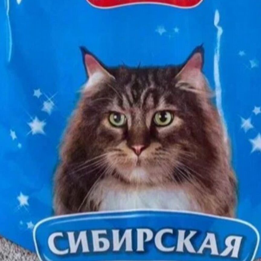 Сибирская кошка наполнитель для кошачьего туалета