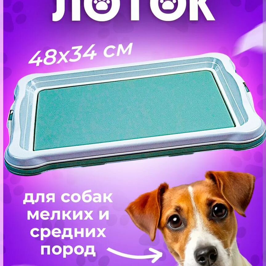 Лоток для собак под пеленку