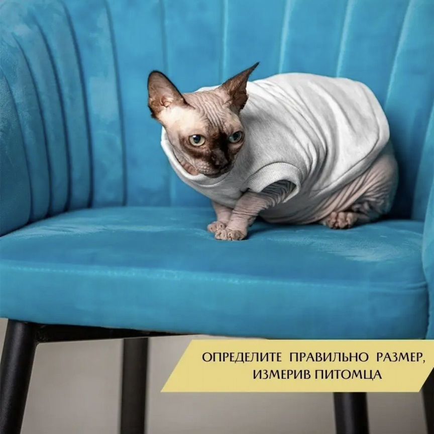 Одежда для сфинксов