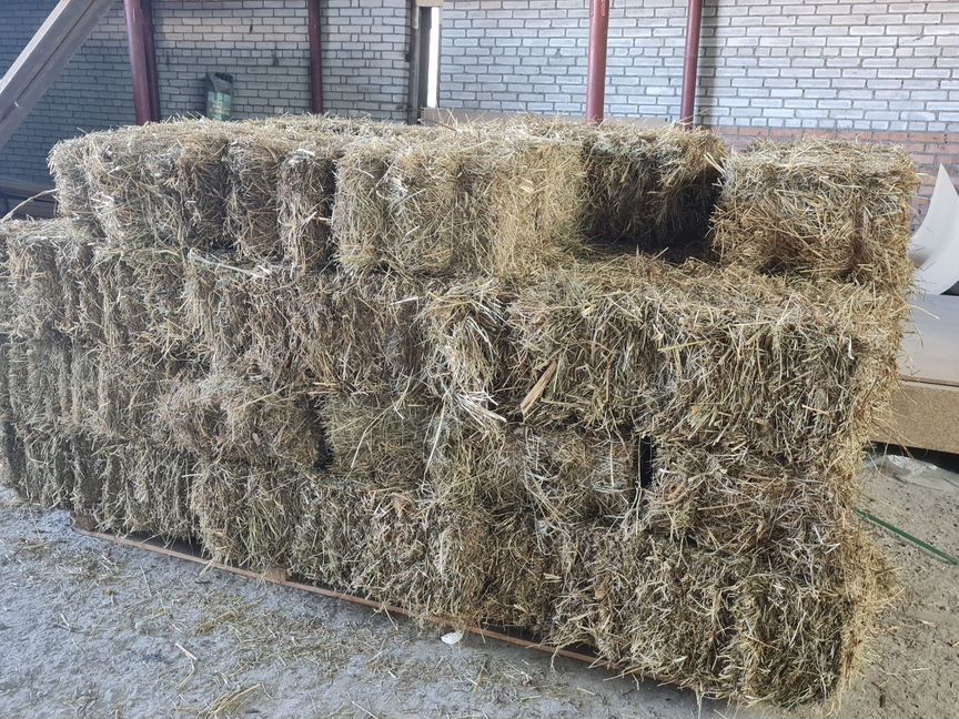 Сено в брикетах 13-16 кг