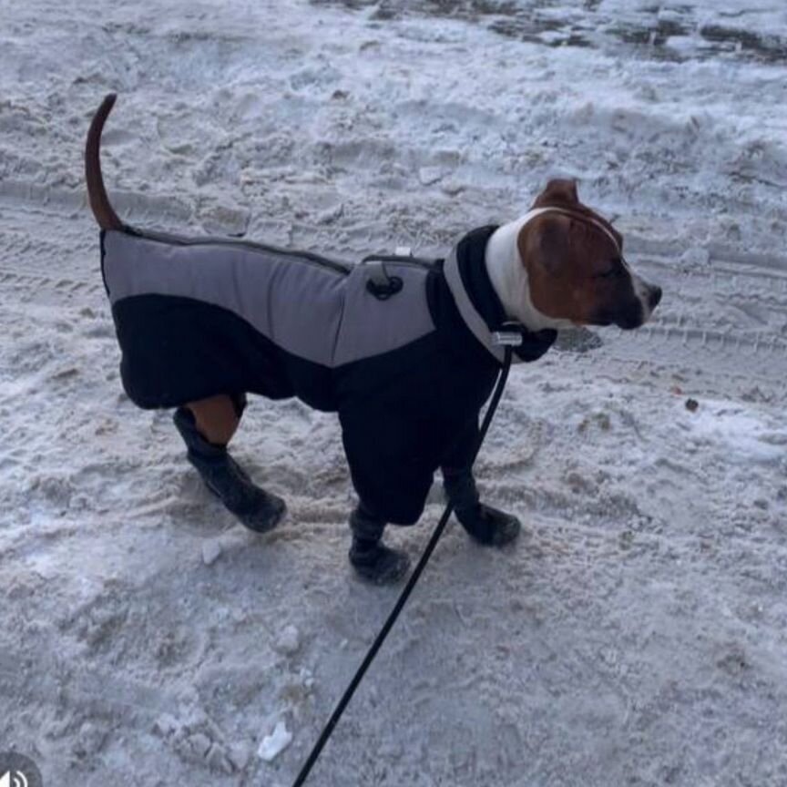 Жилет-куртка для собак средних пород