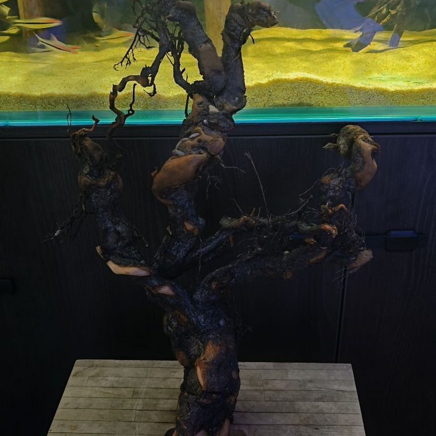 Дрифтвуд коряга