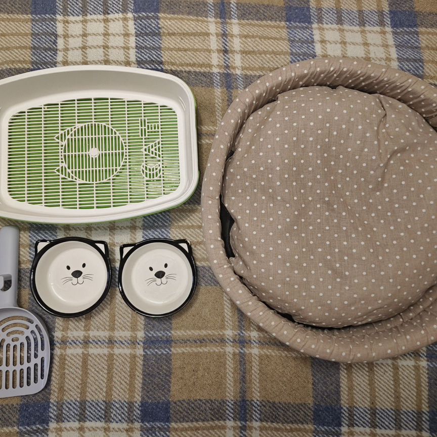 Кошачий лоток, лежанка, миски