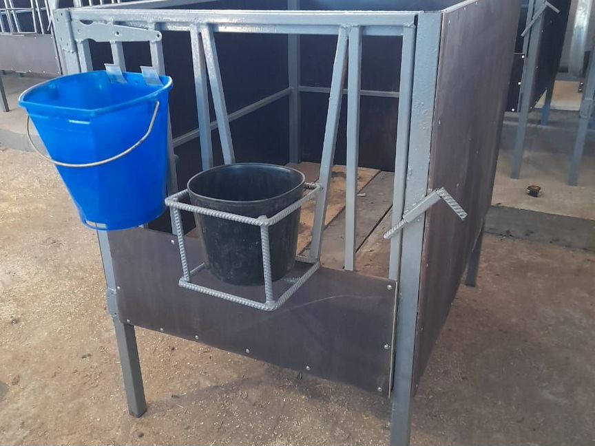 Бокс клетка для содержания телят до 60 дней