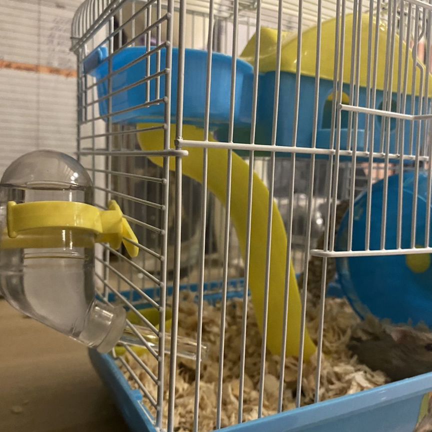 Клетка для хомяка