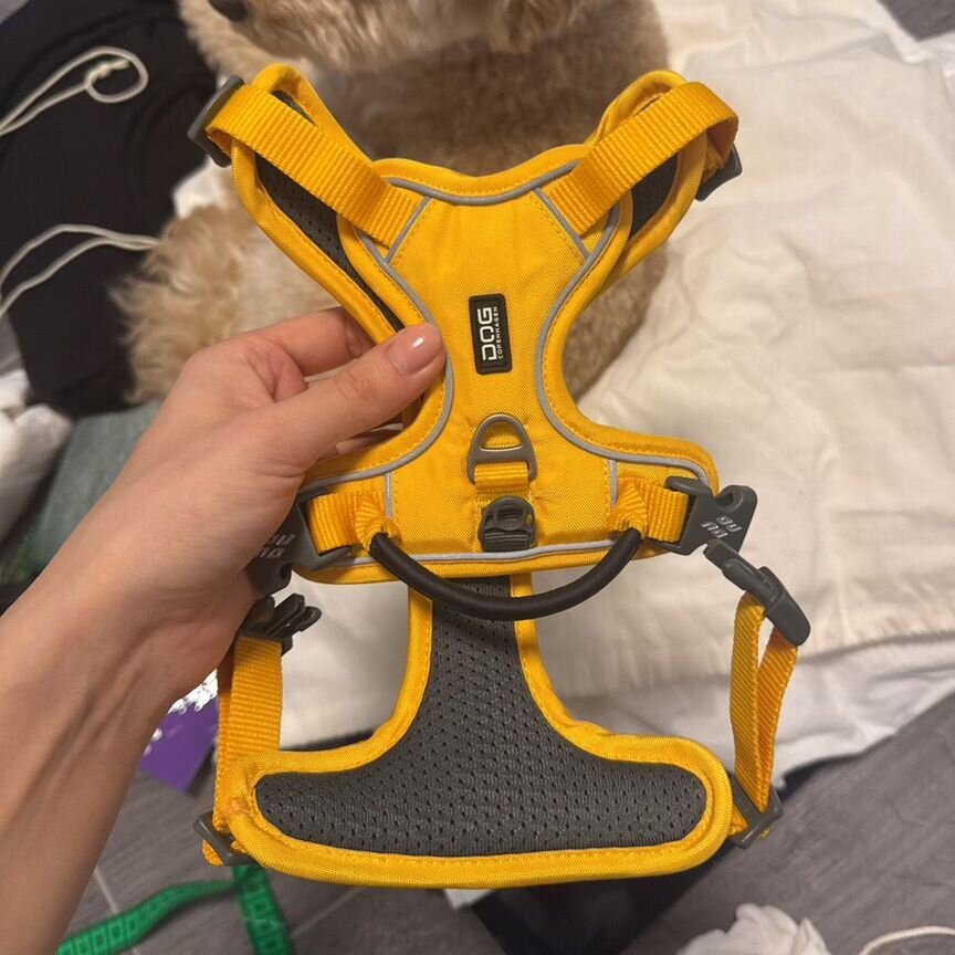 Шлейка для собак