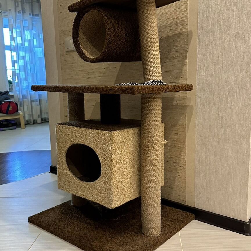 Когтеточка