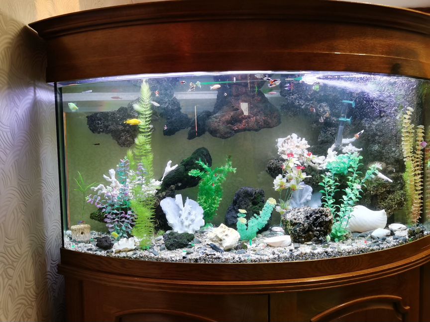 Продается аквариум 380-400 л, с тумбой, оборудован