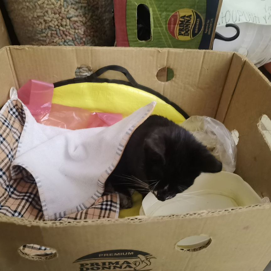 Неужели мы не сможем ему помочь