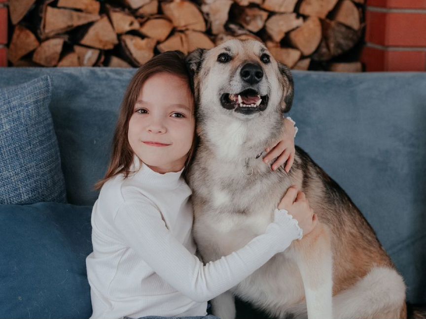 Собака Корица ищет дом