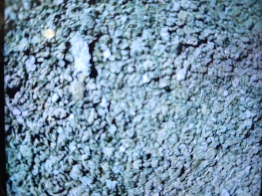 Жмых, шелуха(горячий отжим)